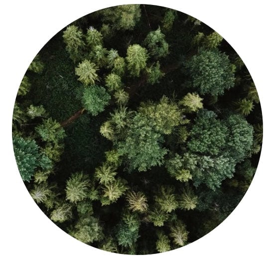 Saint and Sofia® USA | Official Store